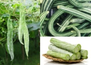Vegetable Names in Malayalam, English, and Hindi: A Comprehensive Guide ...