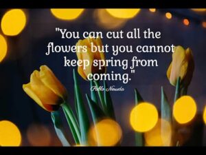 Inspiring Spring Quotes to Refresh Your Spirit - Money, Miles & Moments